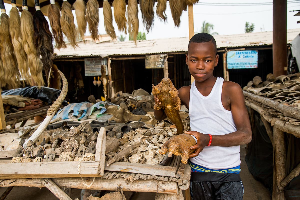 Benin's Voodoo Festival Is A National Holiday On January 10th