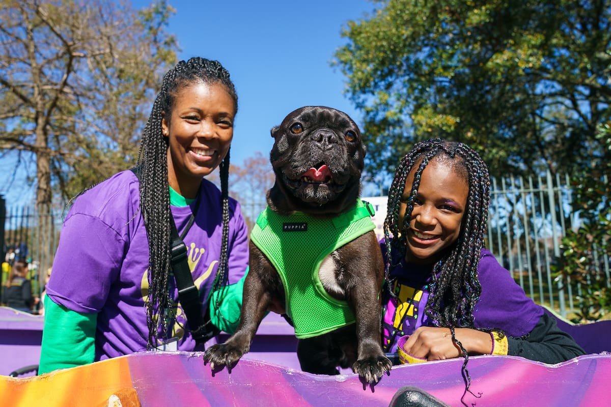 Photos: Mystic Krewe of Barkus Celebrates 30 Years