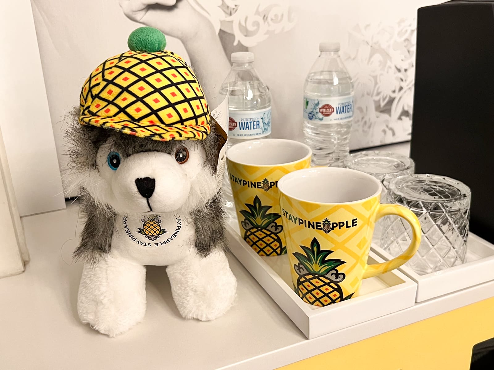 StayPineapple Boston Is Quirky, Fun And A Great Place to Stay