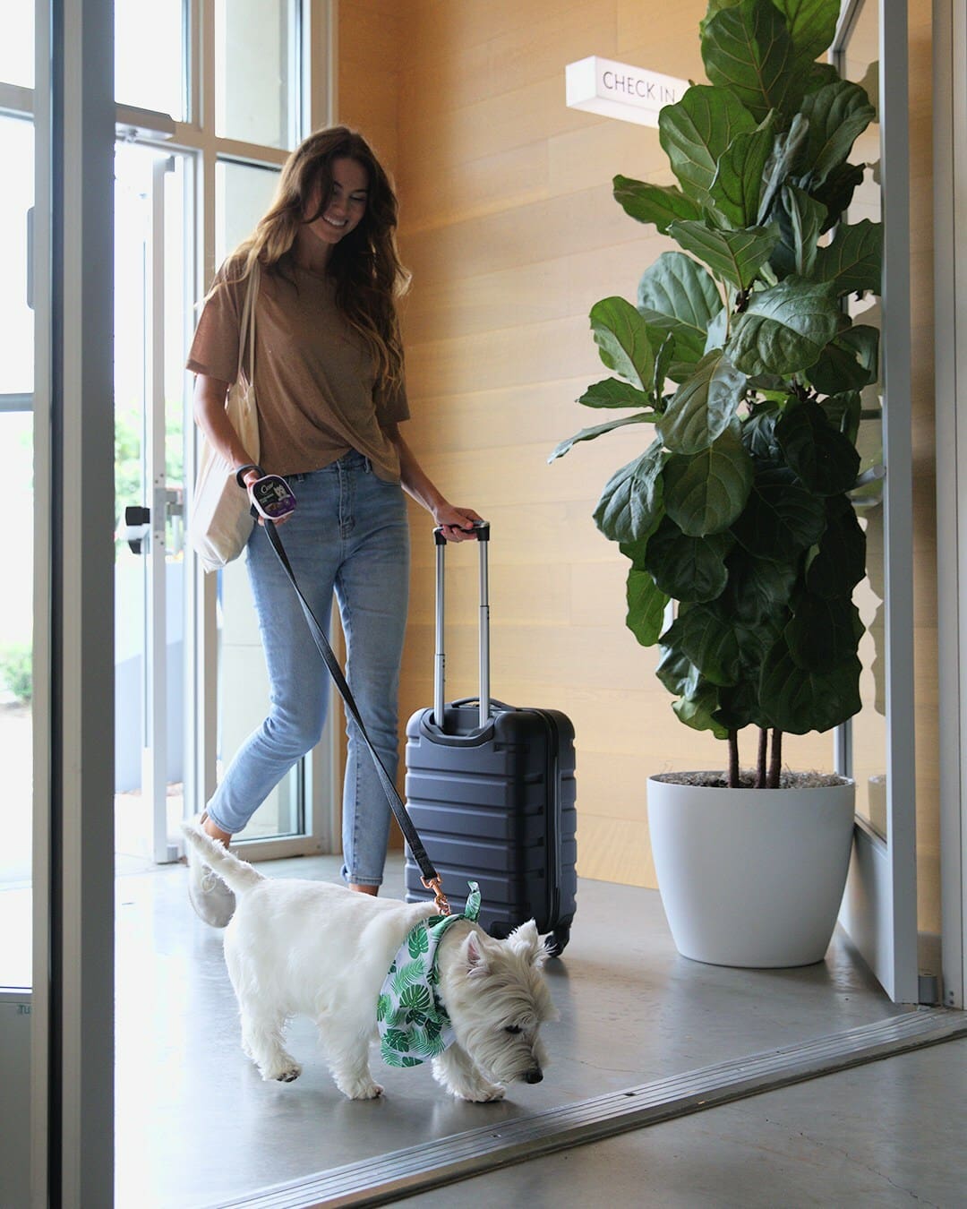 Hilton And Mars Petcare Celebrate International Dog Day