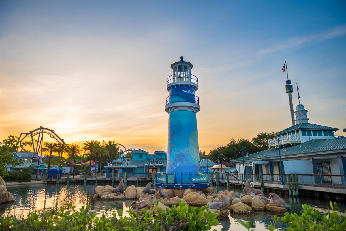 SeaWorld Celebrates 60 Years With New Rides And Attractions