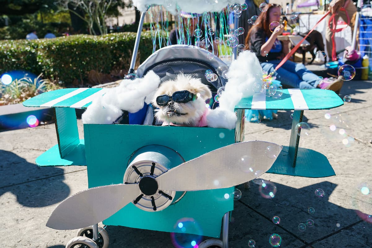Barkus Parade Re-scheduled TO March 9th