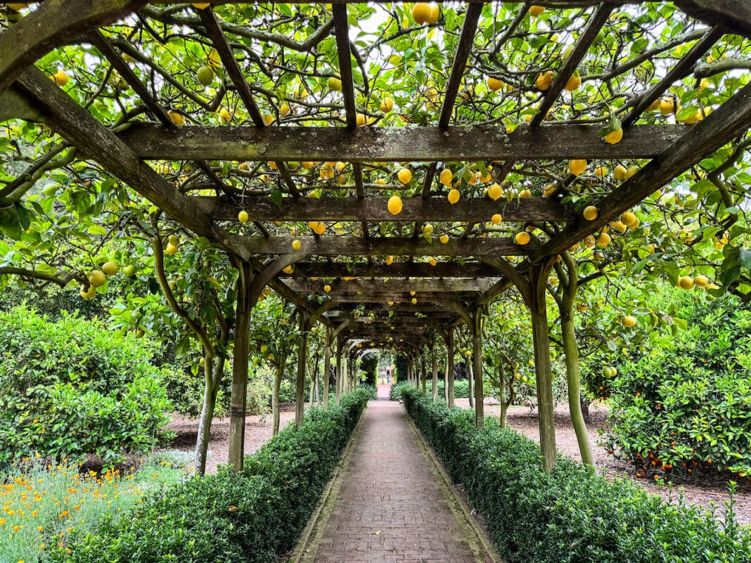 Lotusland is One of the World’s Most Unique Botanical Gardens