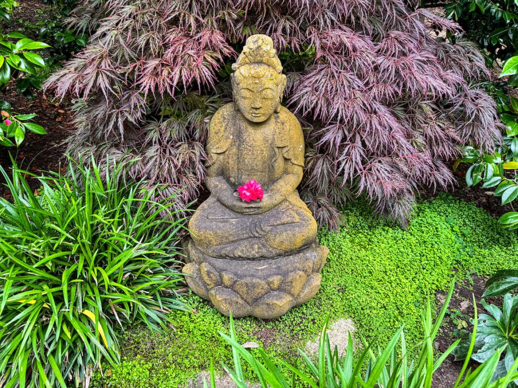 Lotusland is One of the World’s Most Unique Botanical Gardens