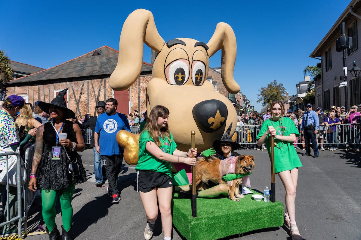 Inside the 2026 Krewe of Barkus Parade