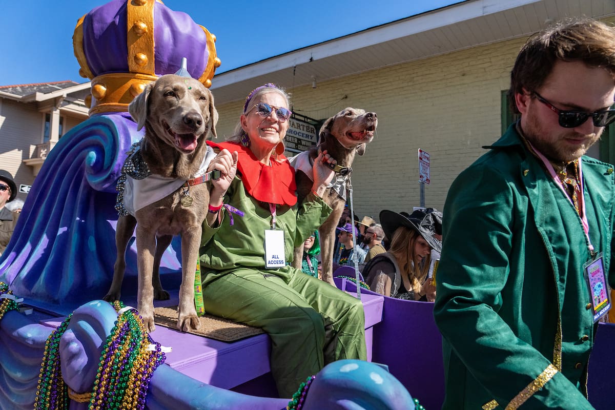 Inside the 2026 Krewe of Barkus Parade